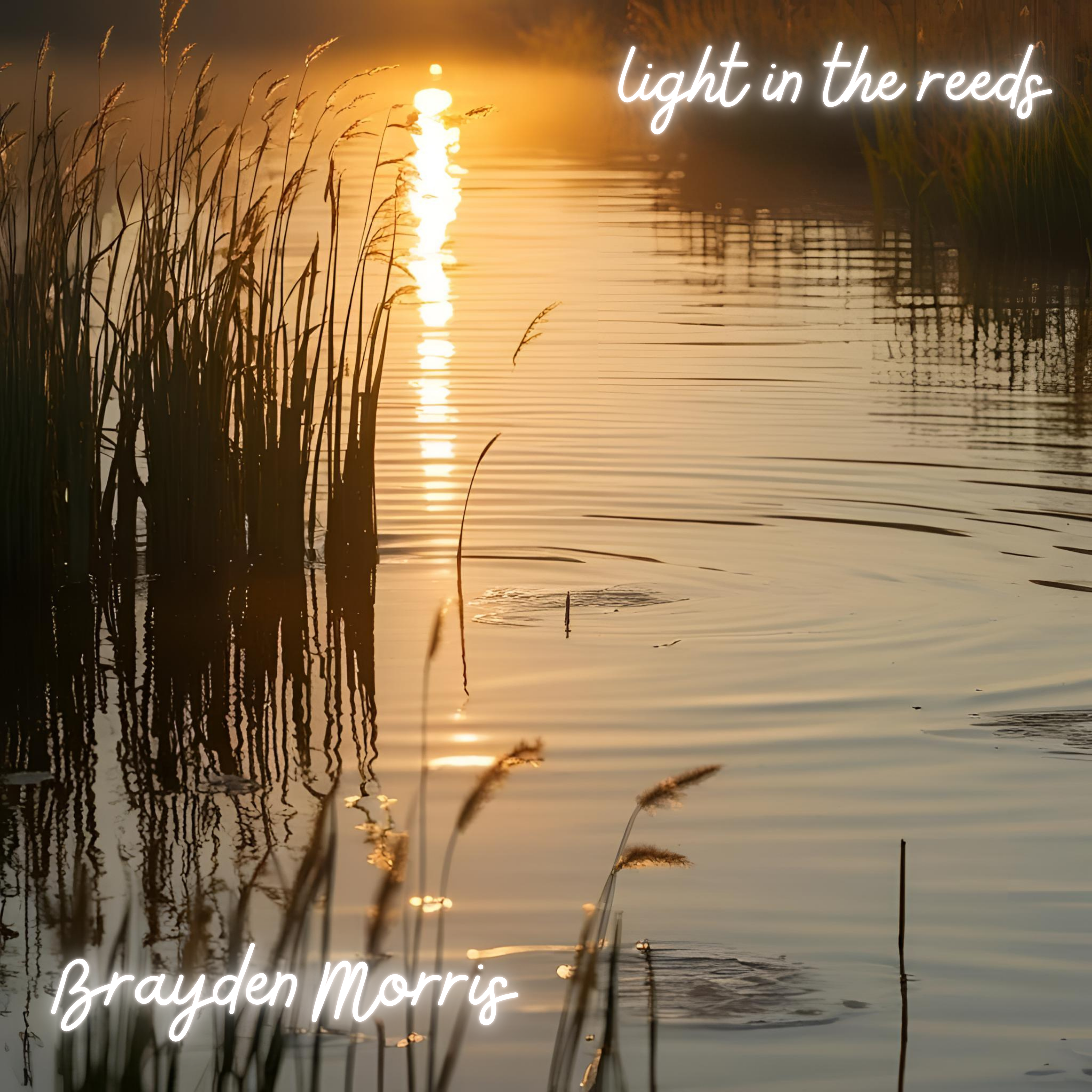 light in the reeds by Brayden Morris