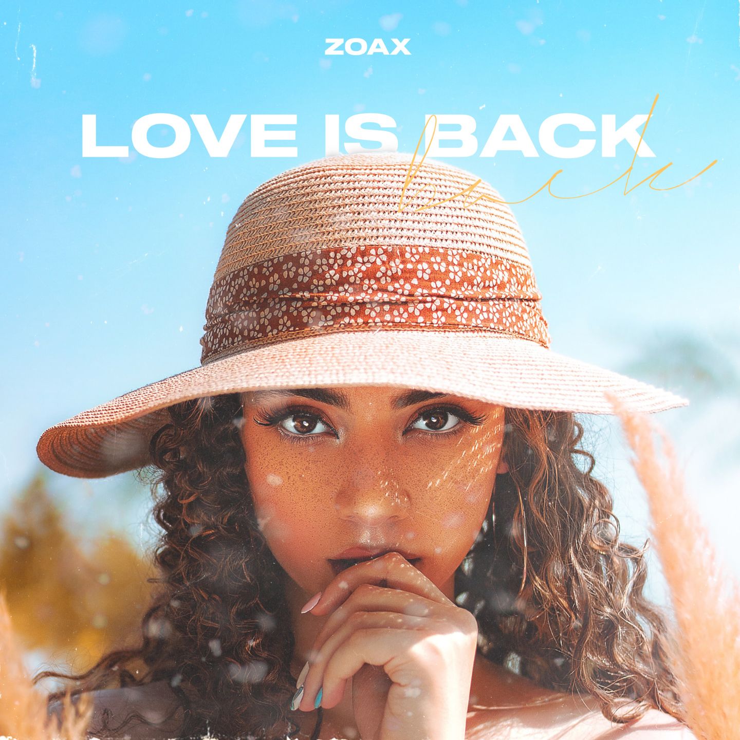 Love is back by zoax