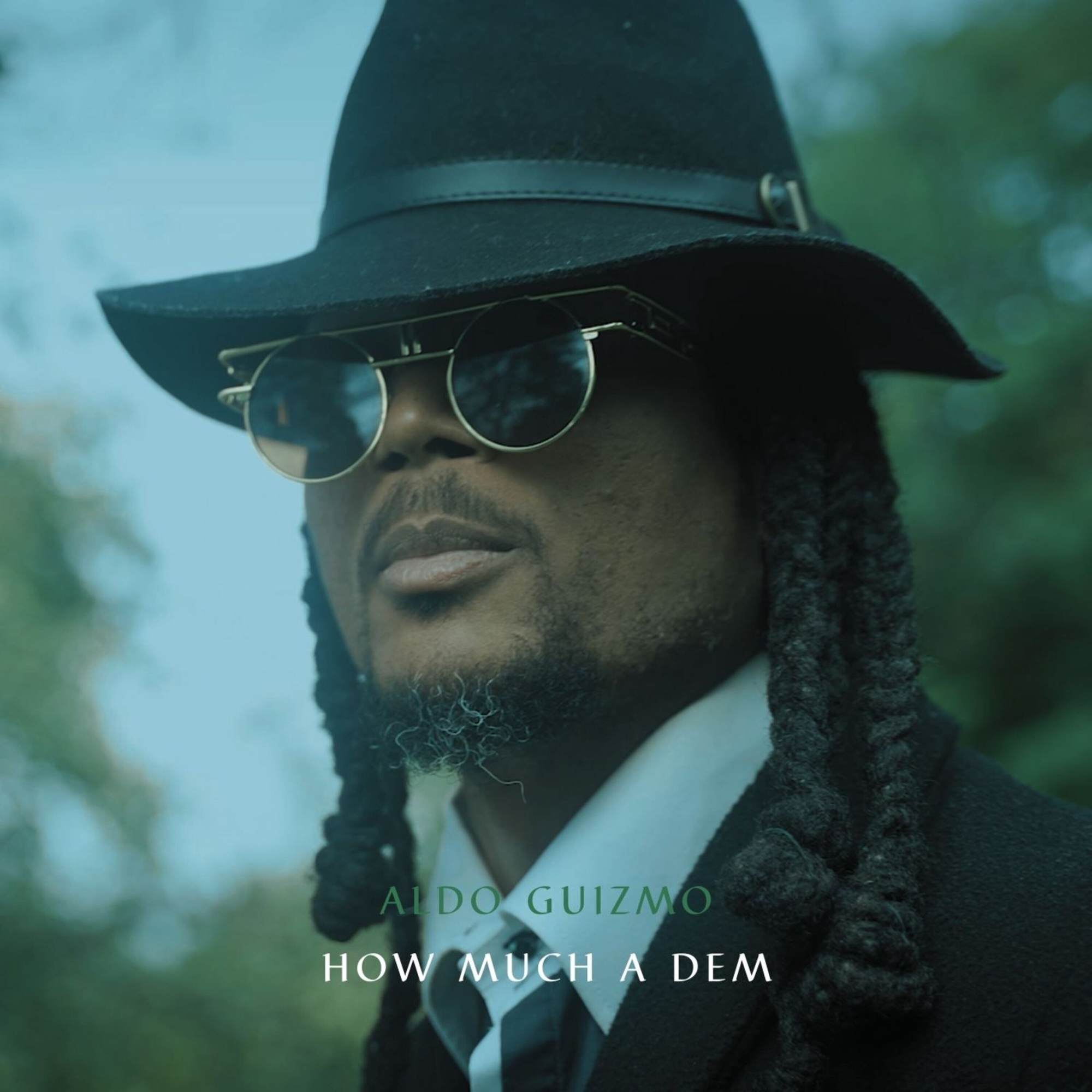 How Much A Dem by Aldo Guizmo