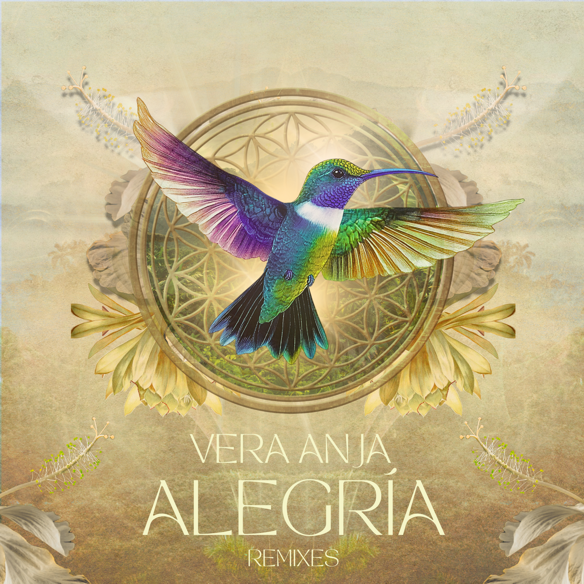 Alegría (Remixes) by Vera Anja