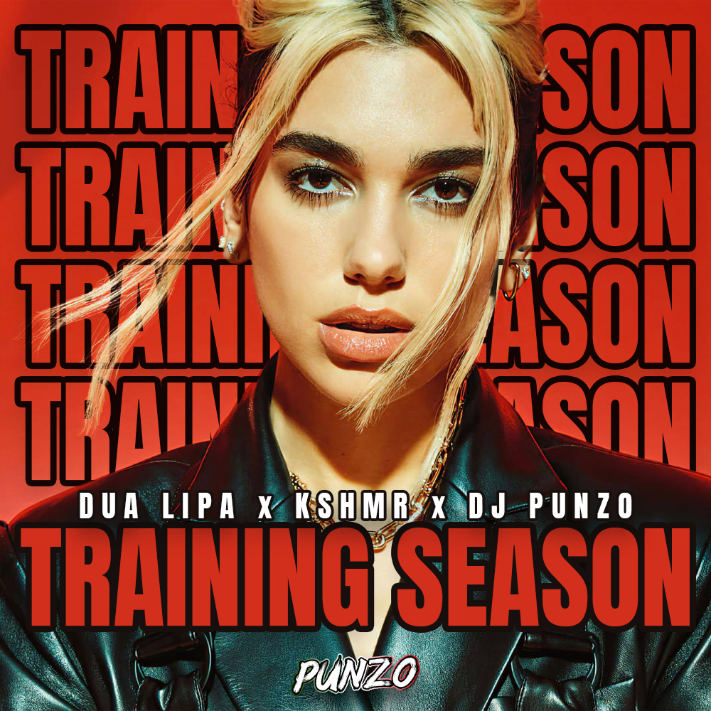 Training Season (DJ Punzo Mainstage Bootleg Edit) by Dua Lipa x KSHMR ...
