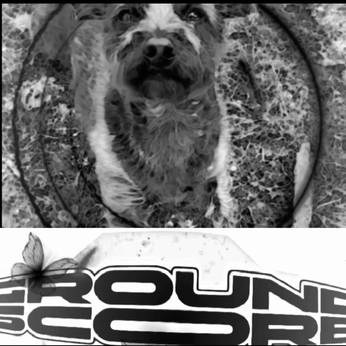 STINGY by ground score | Free Download on Hypeddit