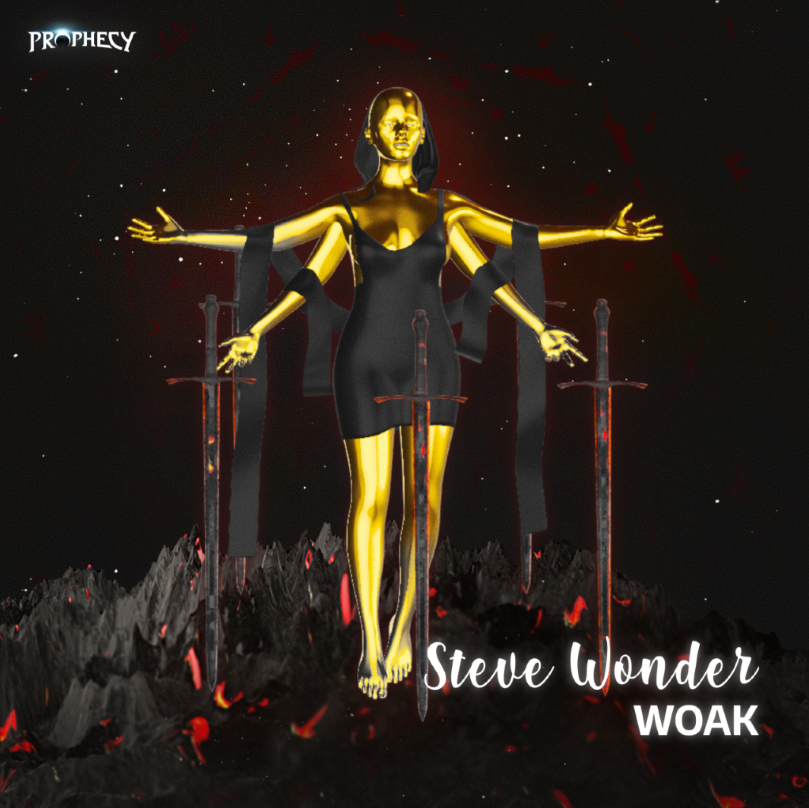 Steve Wonder by WOAK