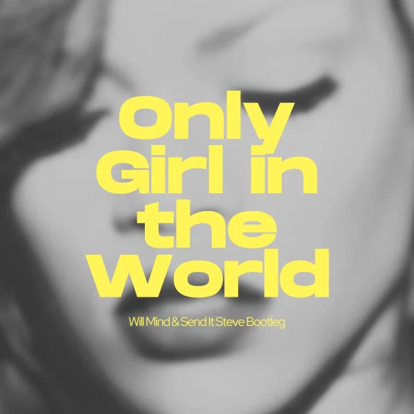 Only Girl In The World (Will Mind & Send It Steve Bootleg) by Will Mind ...