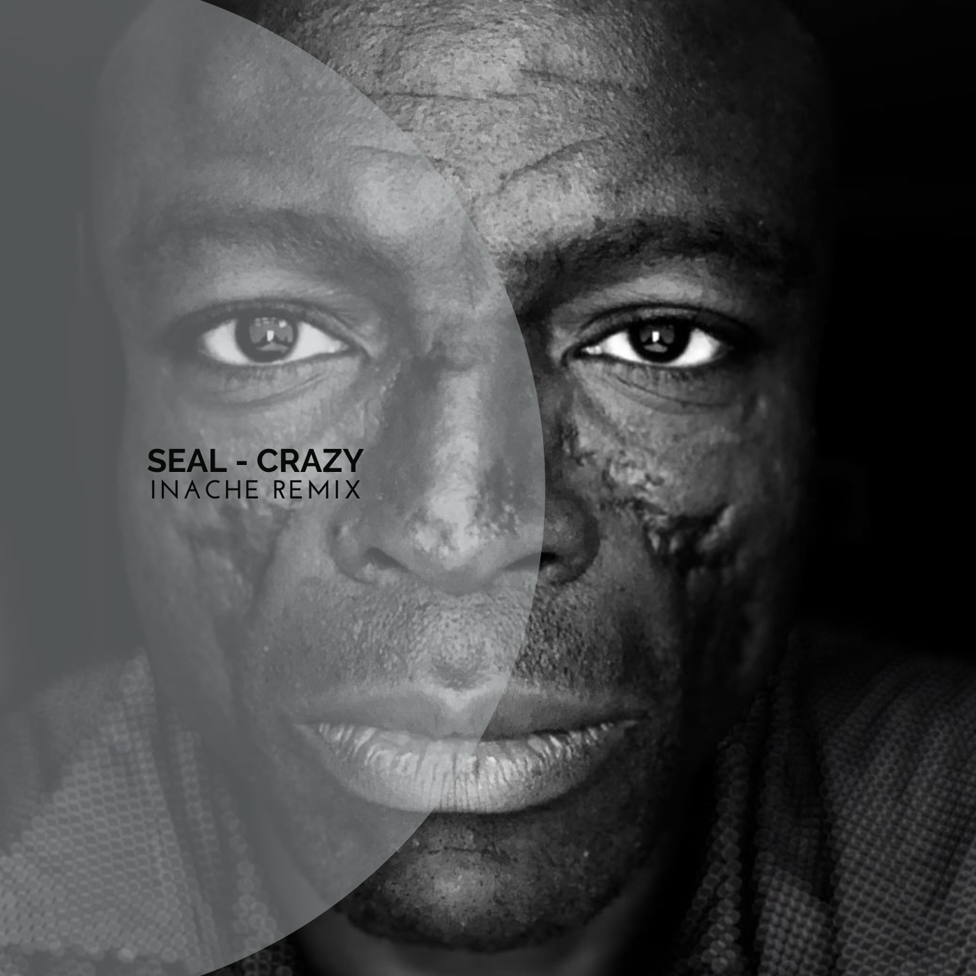 Crazy (Inache Remix) by Seal | Free Download on Hypeddit