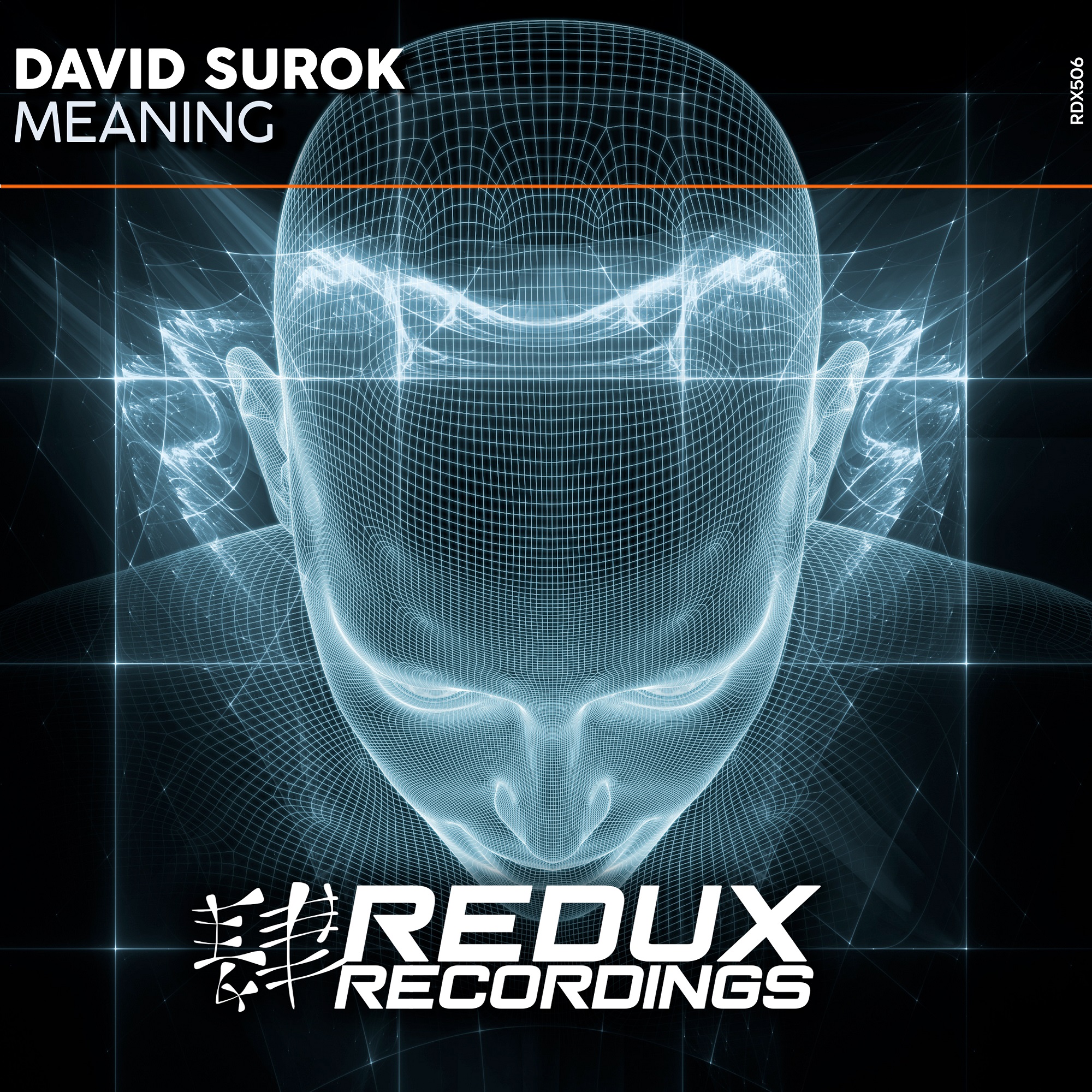Meaning by David Surok