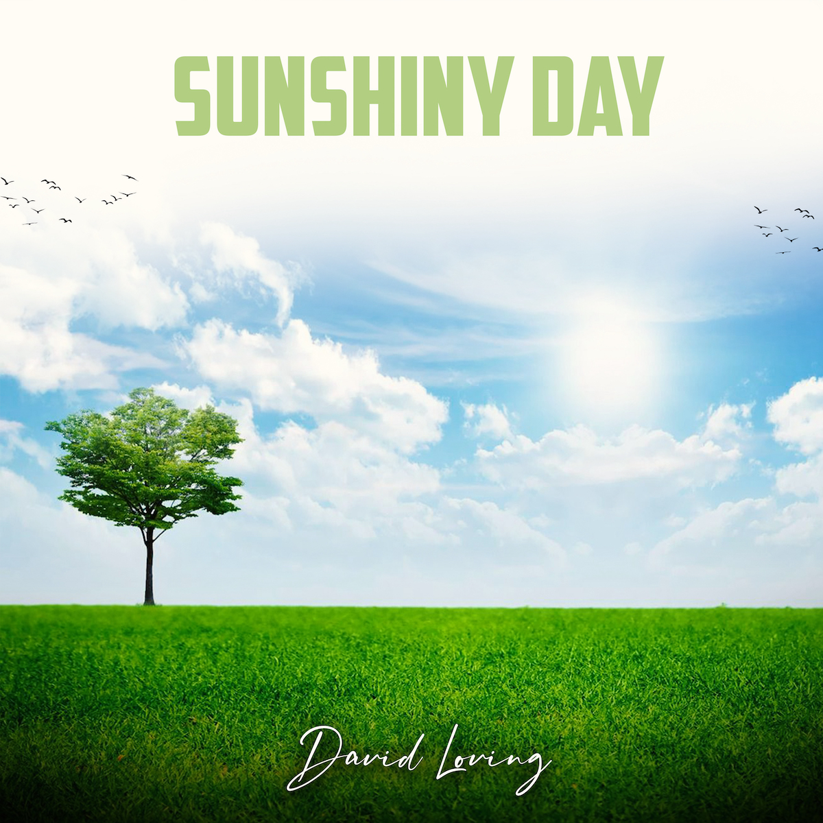 Sunshiny Day by David Loving