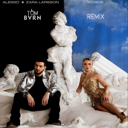 Words(TOM BVRN Remix) by Alesso feat. Zara Larsson | Free Download on Hypeddit