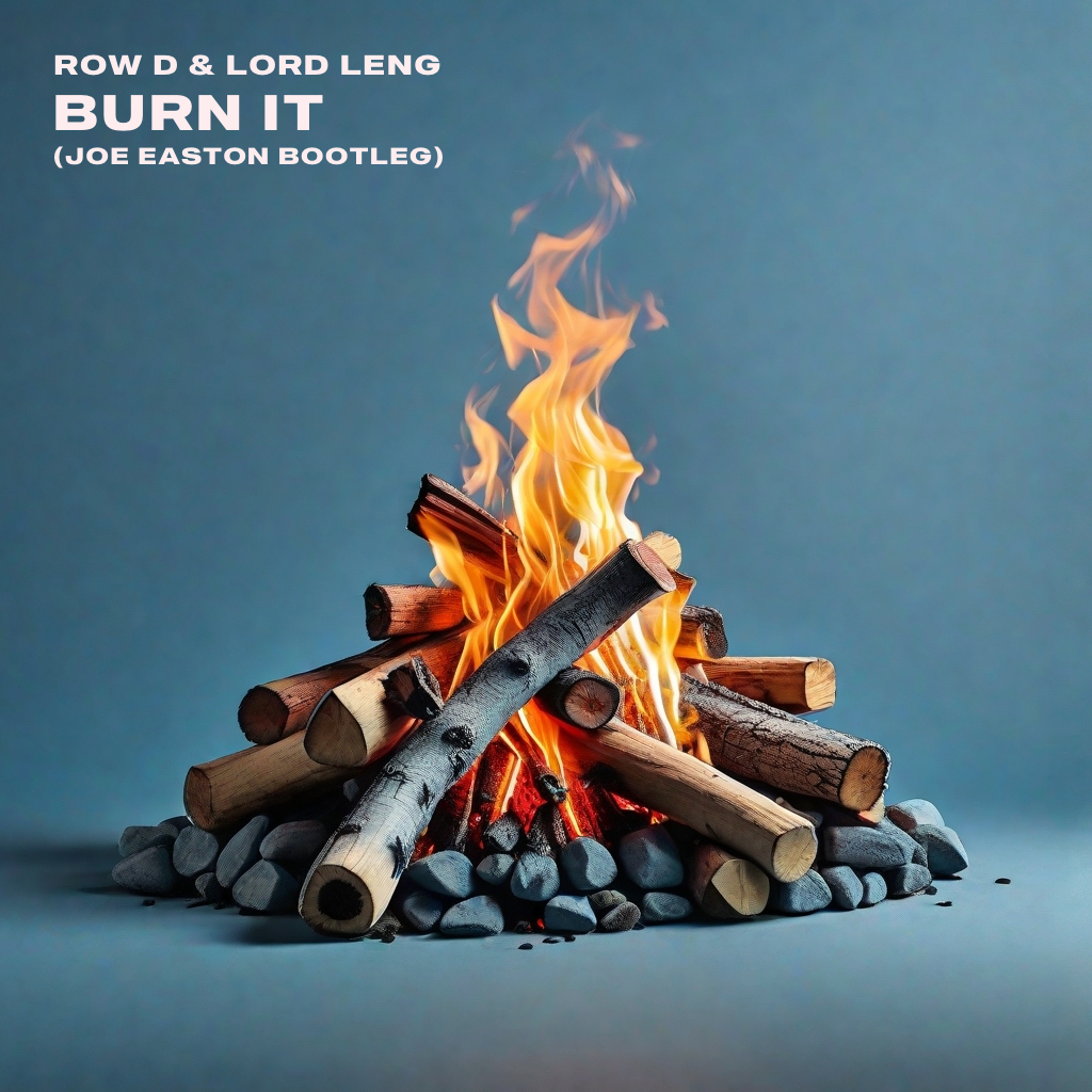 Burn It (Joe Easton Bootleg) by Row D & Lord Leng | Free Download on ...
