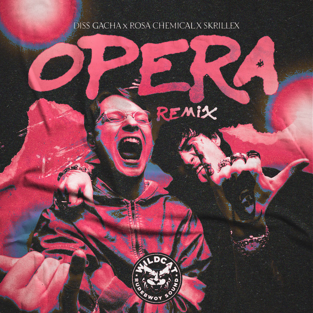 OPERA (WILDCAT SOUND RMX) by DISS GACHA X ROSA CHEMICAL X SKRILLEX ...