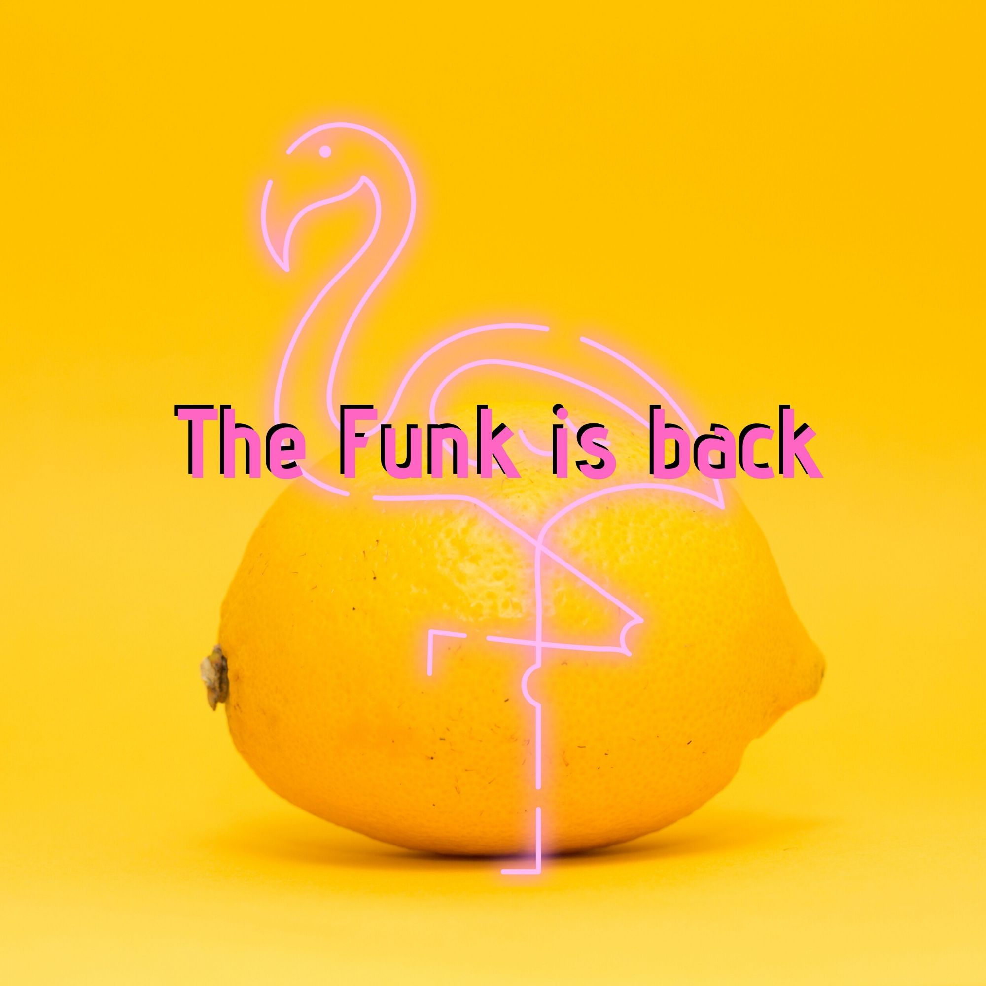 The Funk is back by Black Fader | Free Download on Hypeddit