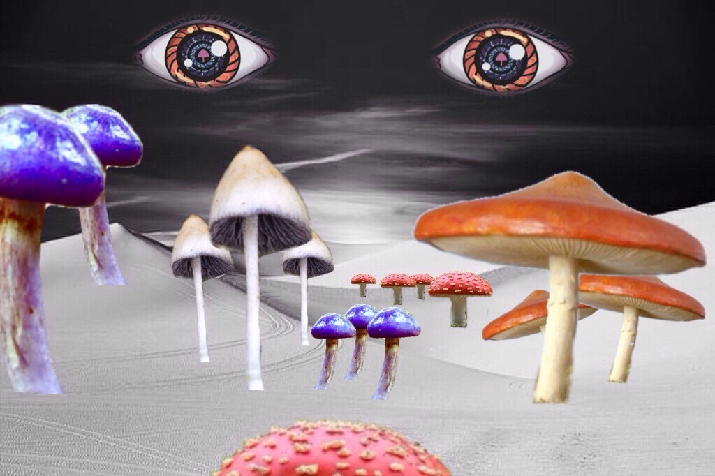 ‘Heterophobe’ by The Elephant Men | Free Download on Hypeddit