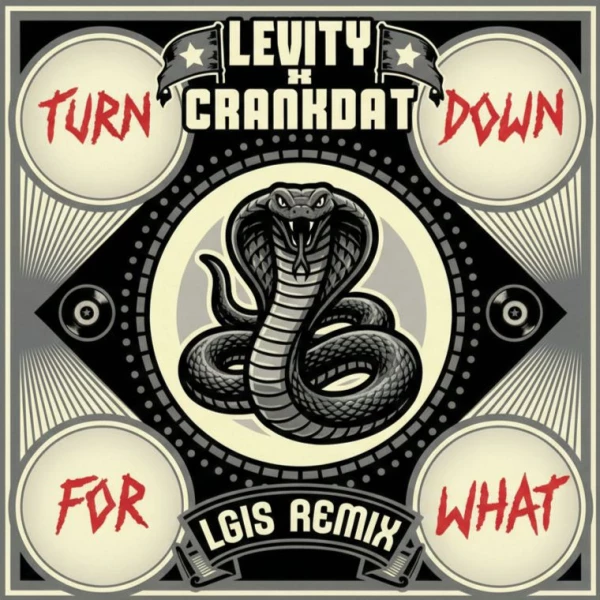 TURN DOWN FOR WHAT, Let's Get it Started , CRANKDAT, LEVITY, DJ SNAKE ...