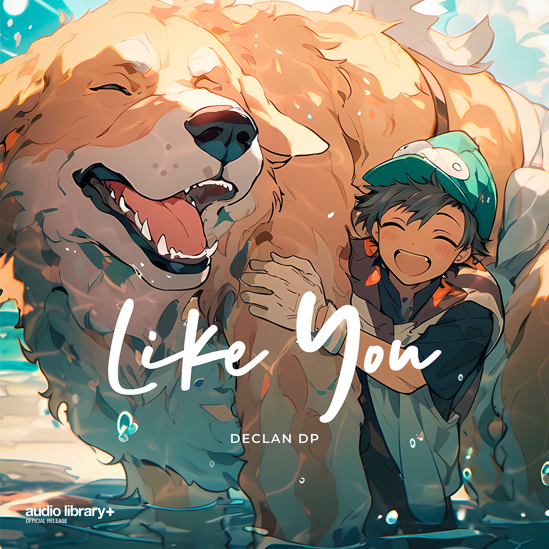 Like You by Declan DP