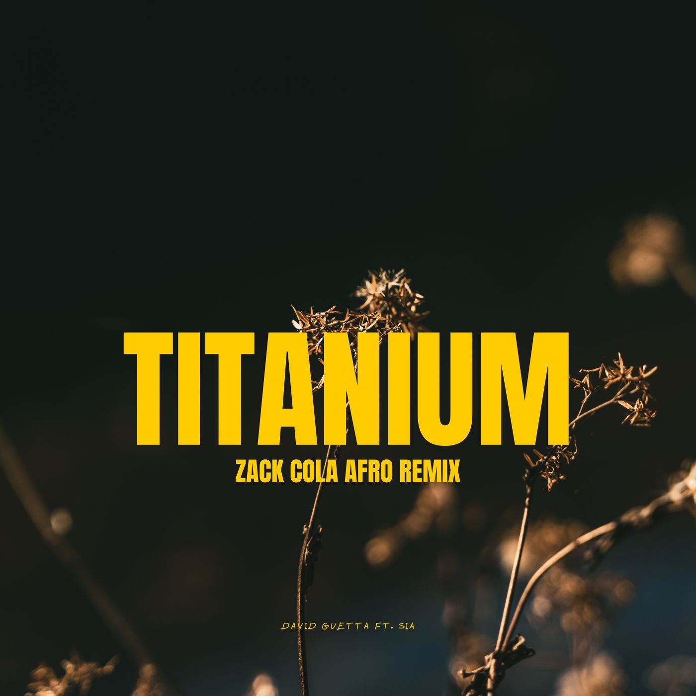 Titanium (Zack Cola Afro Remix) by David Guetta & Sia | Free Download ...