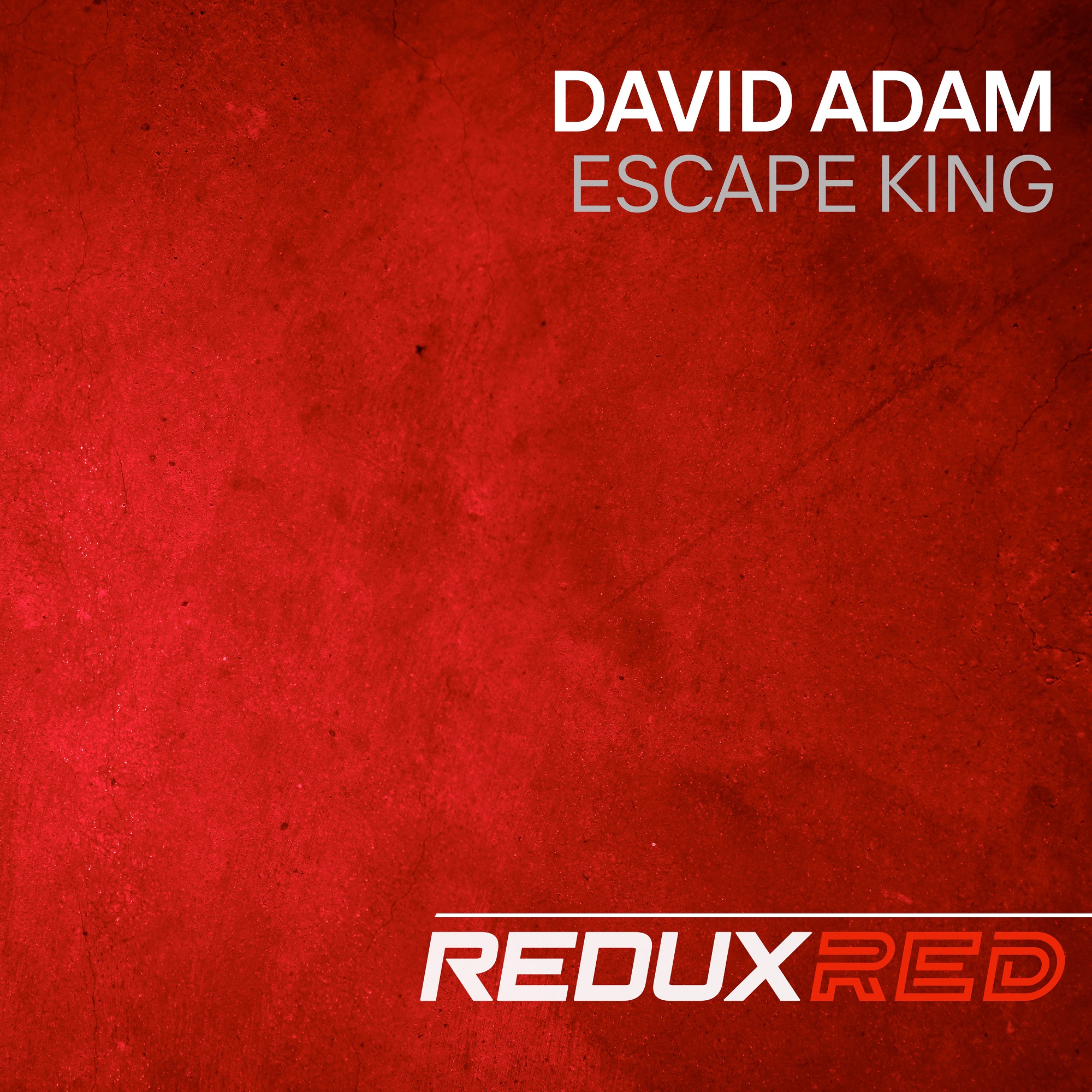 Escape King by David Adam