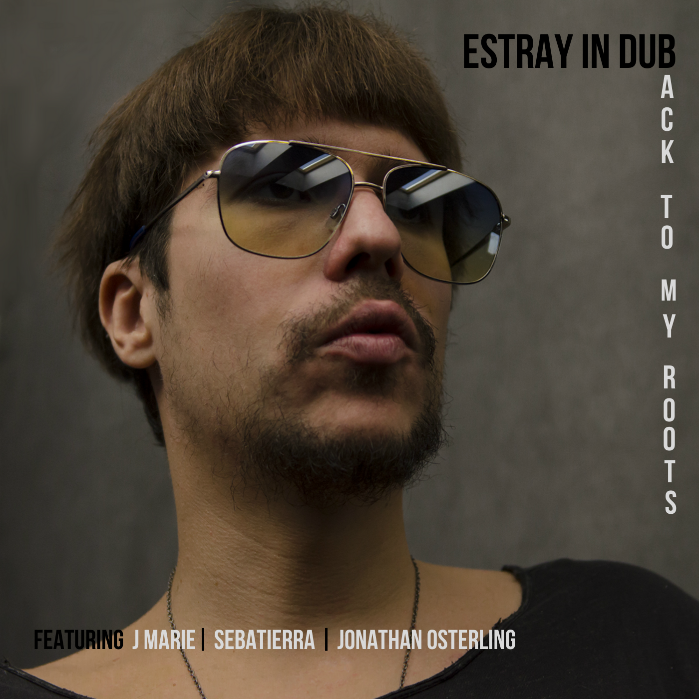 Back To My Roots LP [Full Album In The Mix] by Estray In Dub | Free ...