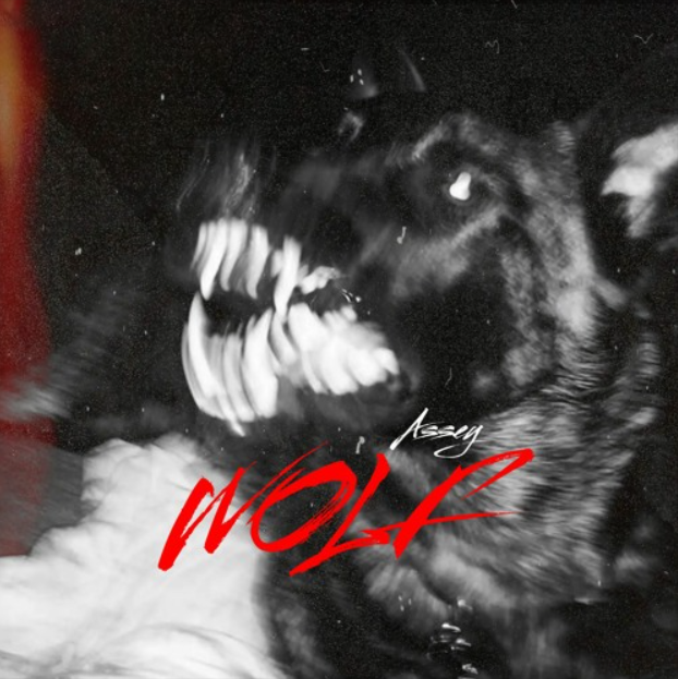 [FREE] Dark 808 Hard Trap Type Beat "WOLF" [Prod. By Assey] by Assembly ...