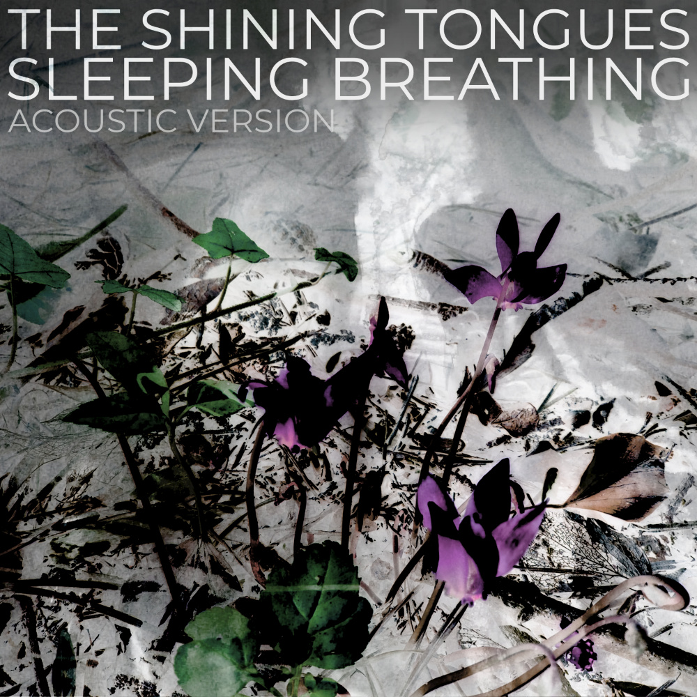 Sleeping Breathing (Acoustic) by The Shining Tongues