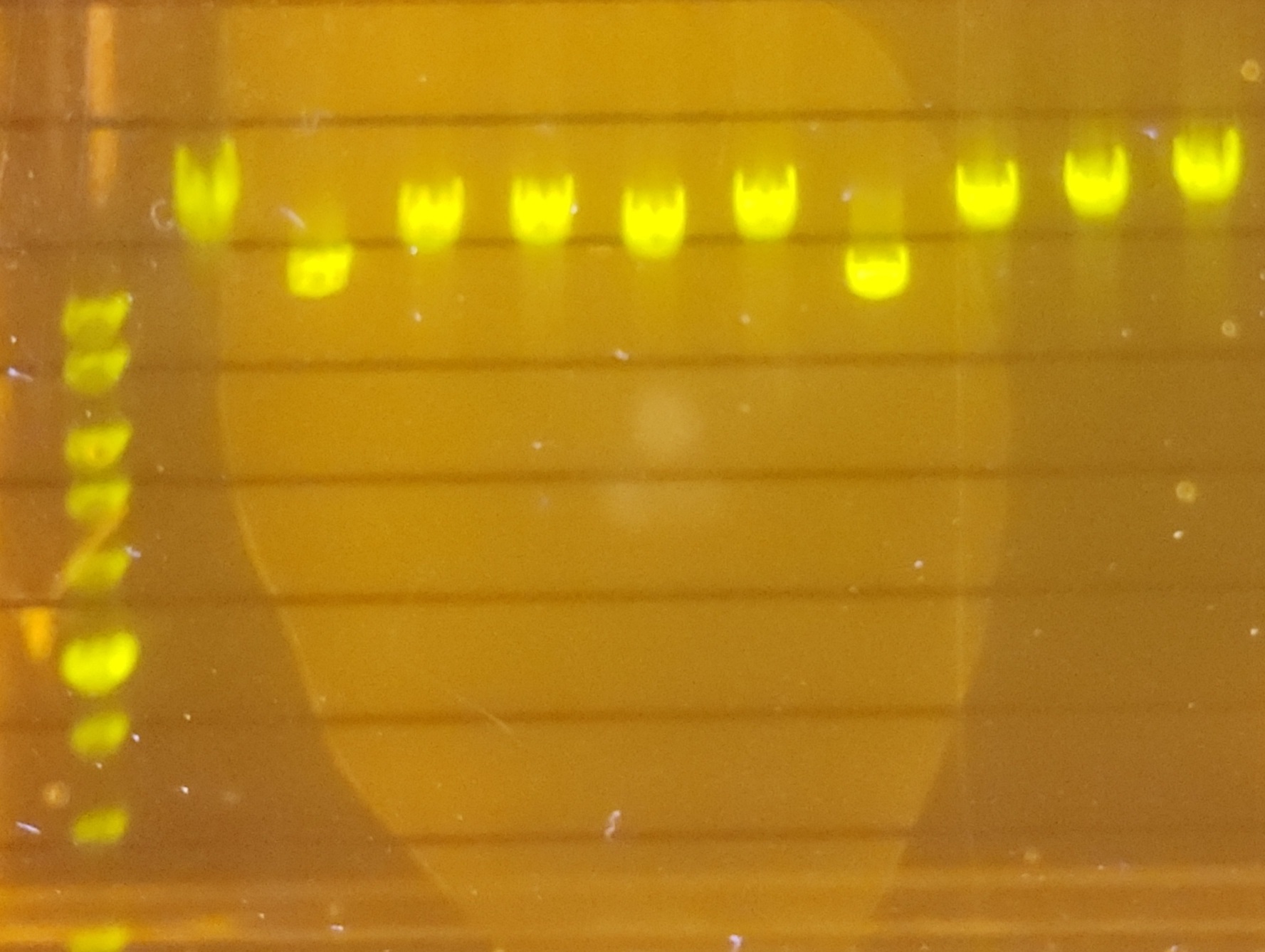 Workin by Dr. Mr. | Free Download on Hypeddit