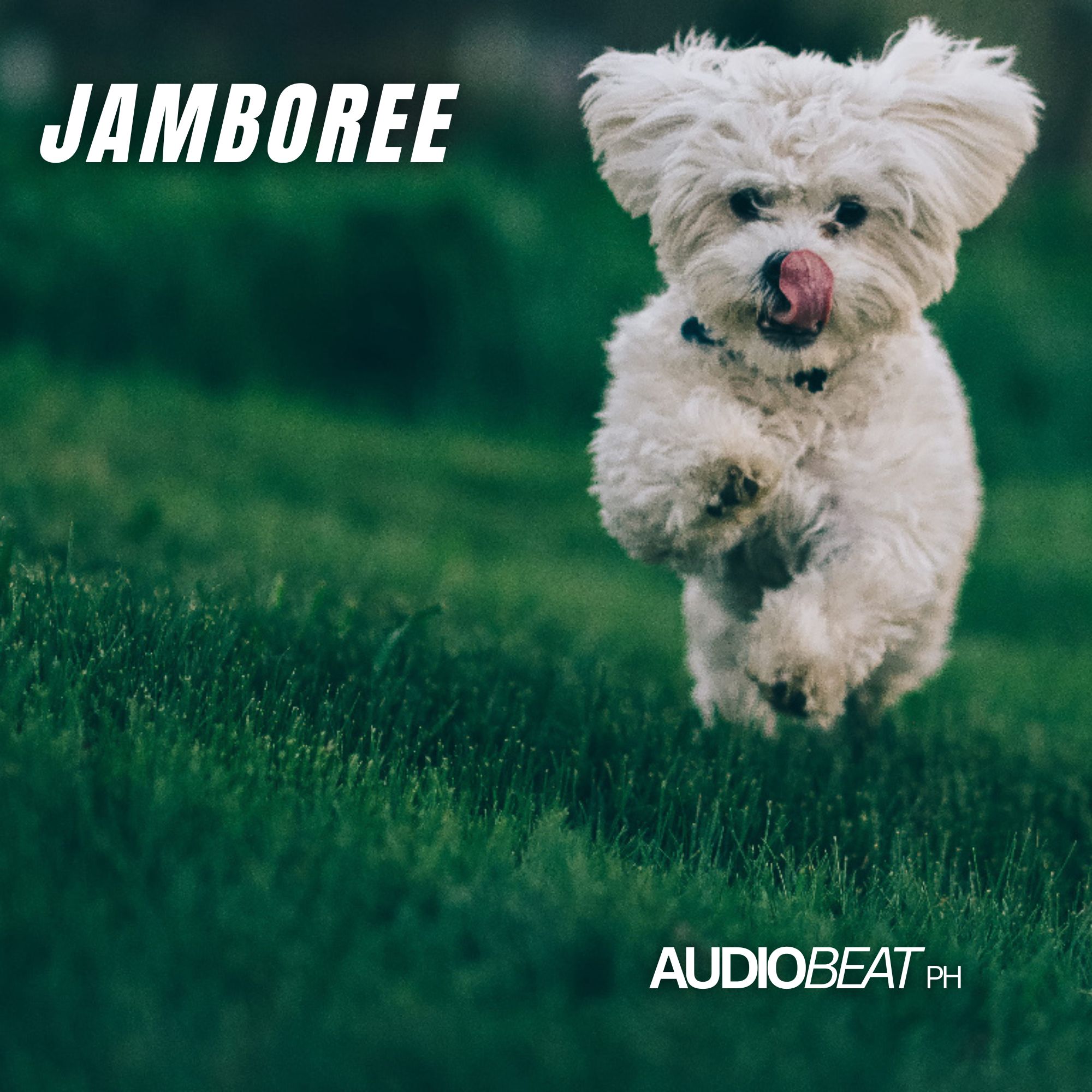 Jamboreee by AudiobeatPH | Free Download on Hypeddit