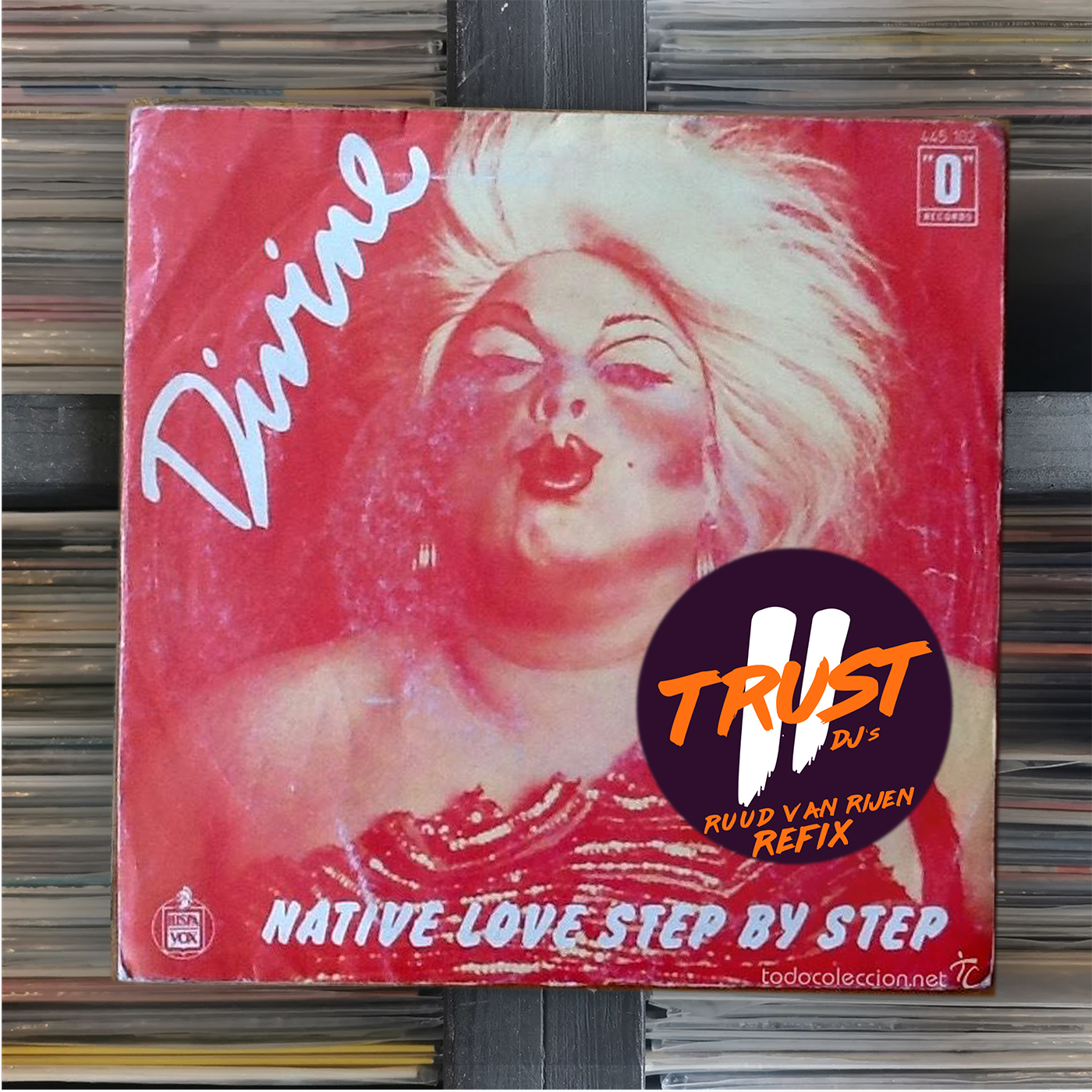 Divine - Native Love (Step by Step) (2 TRUST DJs - Ruud van Rijen Refix ...