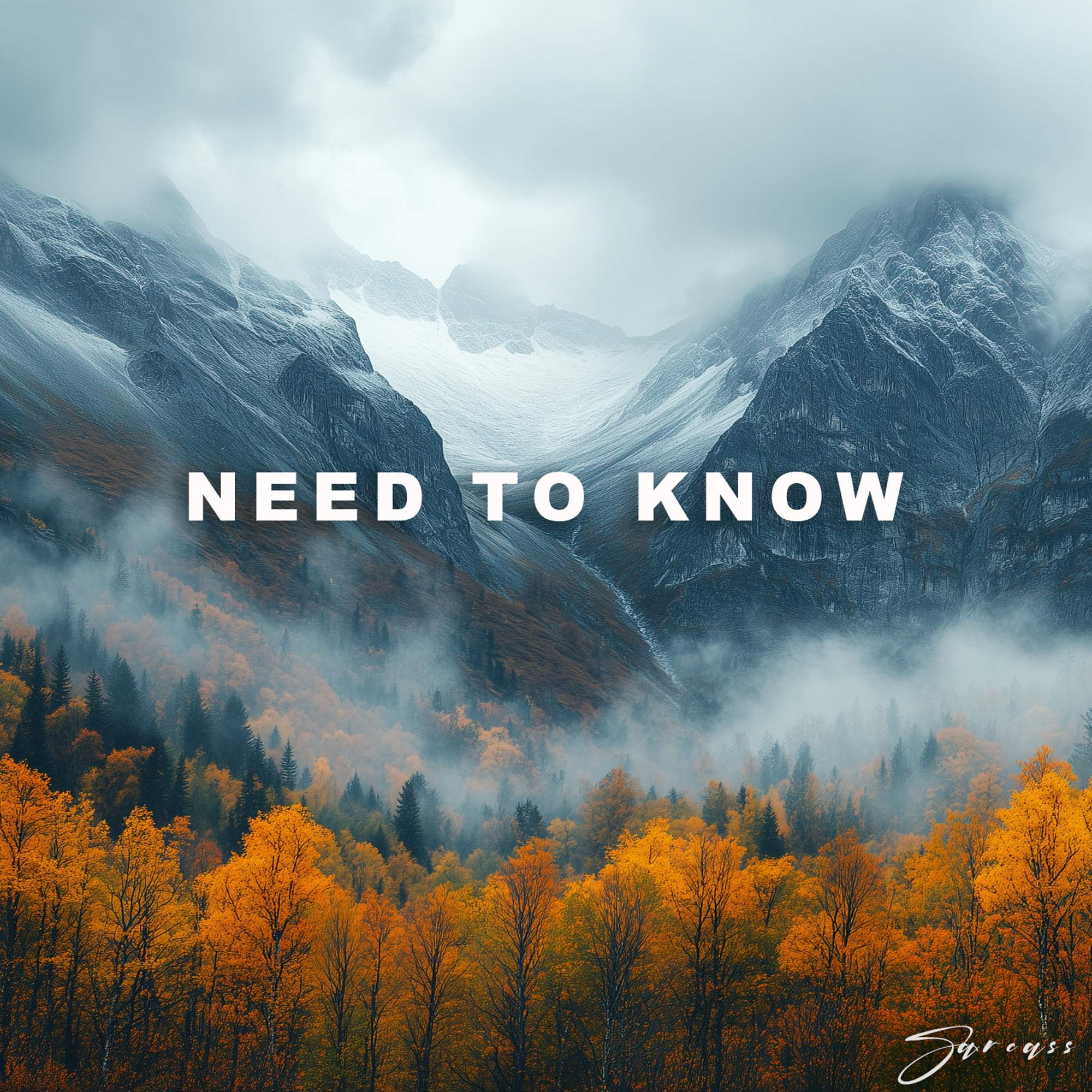Need to know by Sarcass