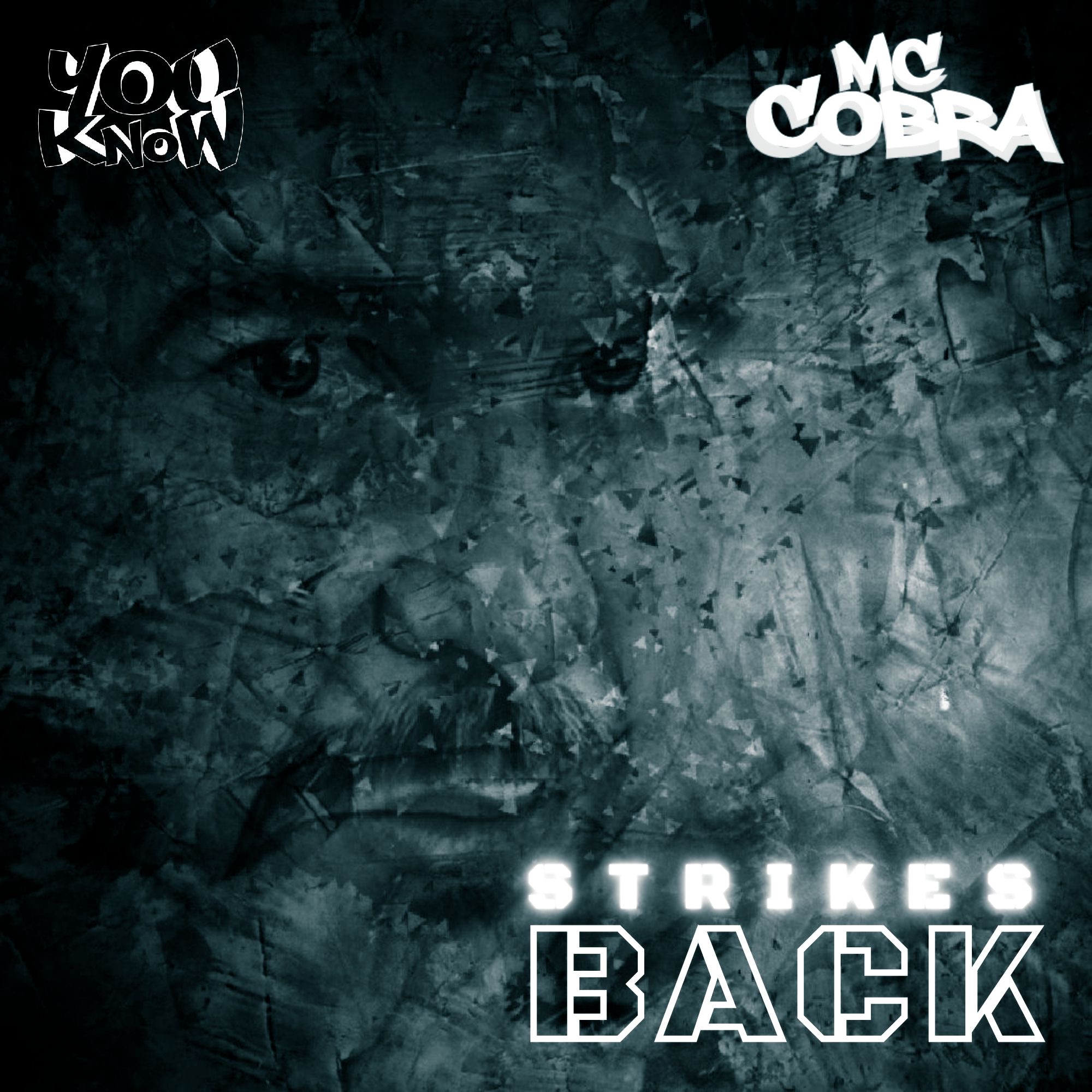 STRIKES BACK by MC COBRA & BWK PROJECT