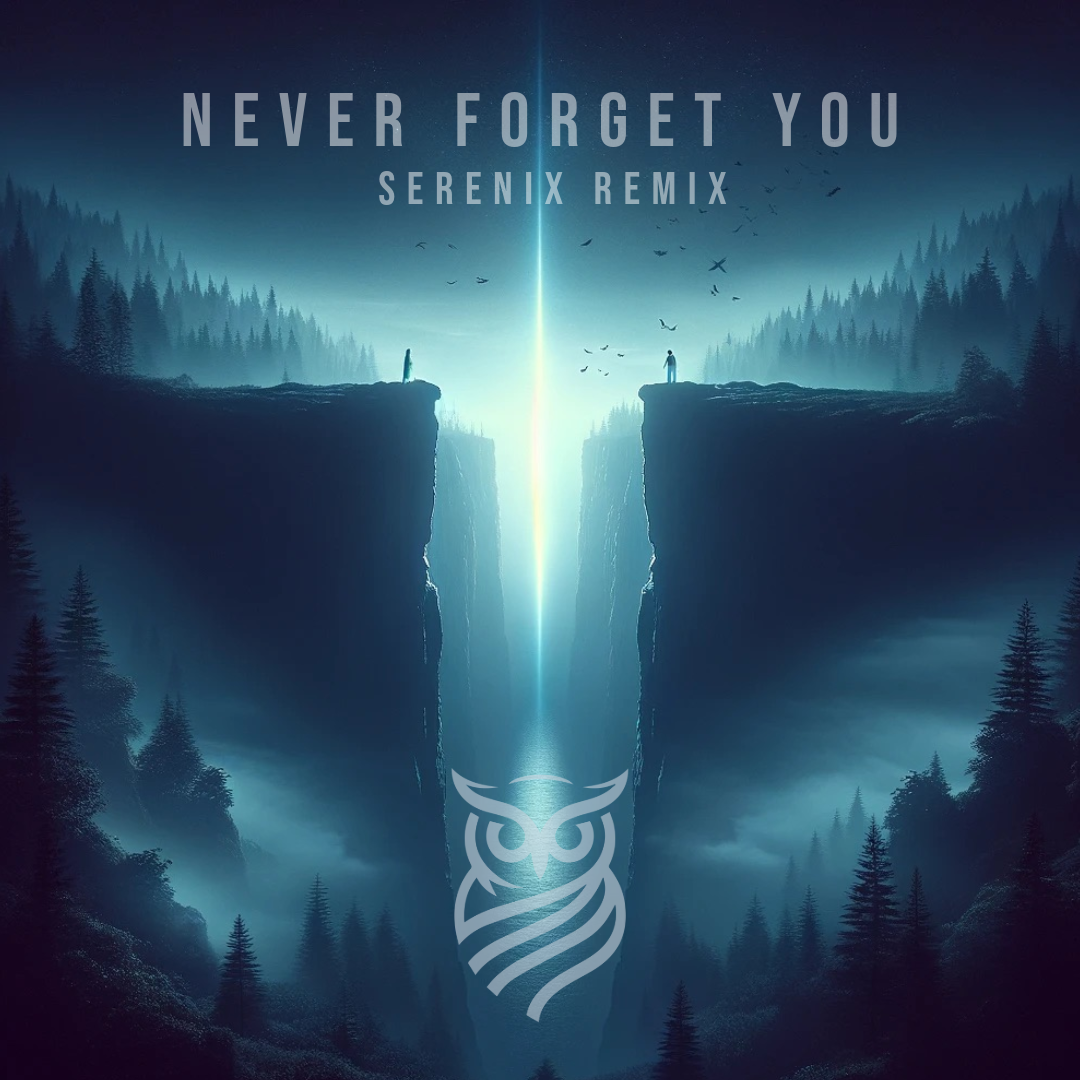 Never Forget You (SERENIX REMIX) by Serenix | Free Download on Hypeddit