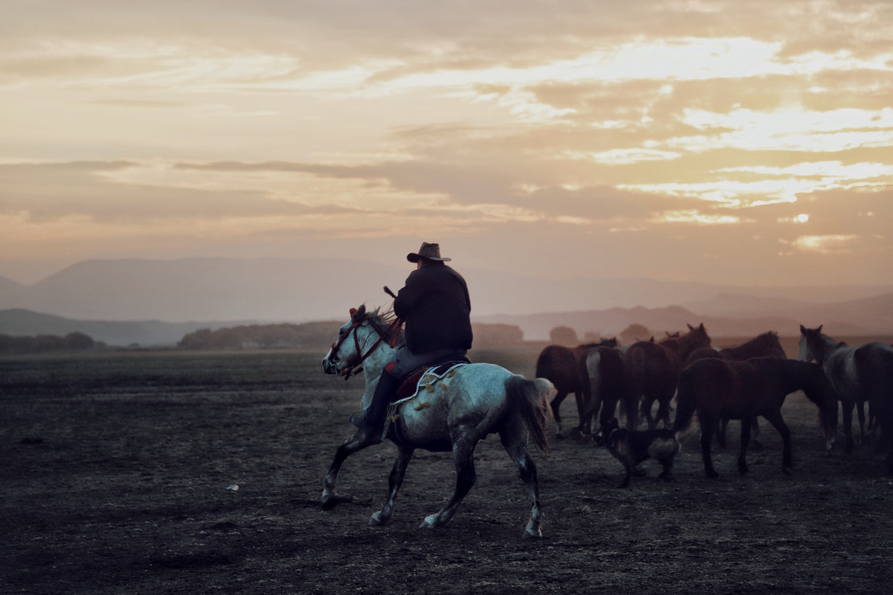 Western Cinematic by Cowboy | Free Download on Hypeddit