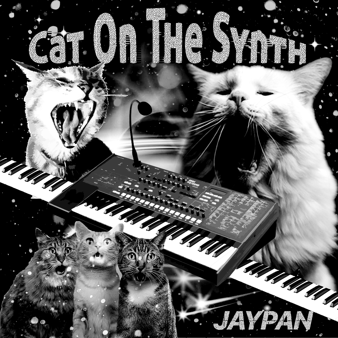 Cat On The Synth by Jaypan