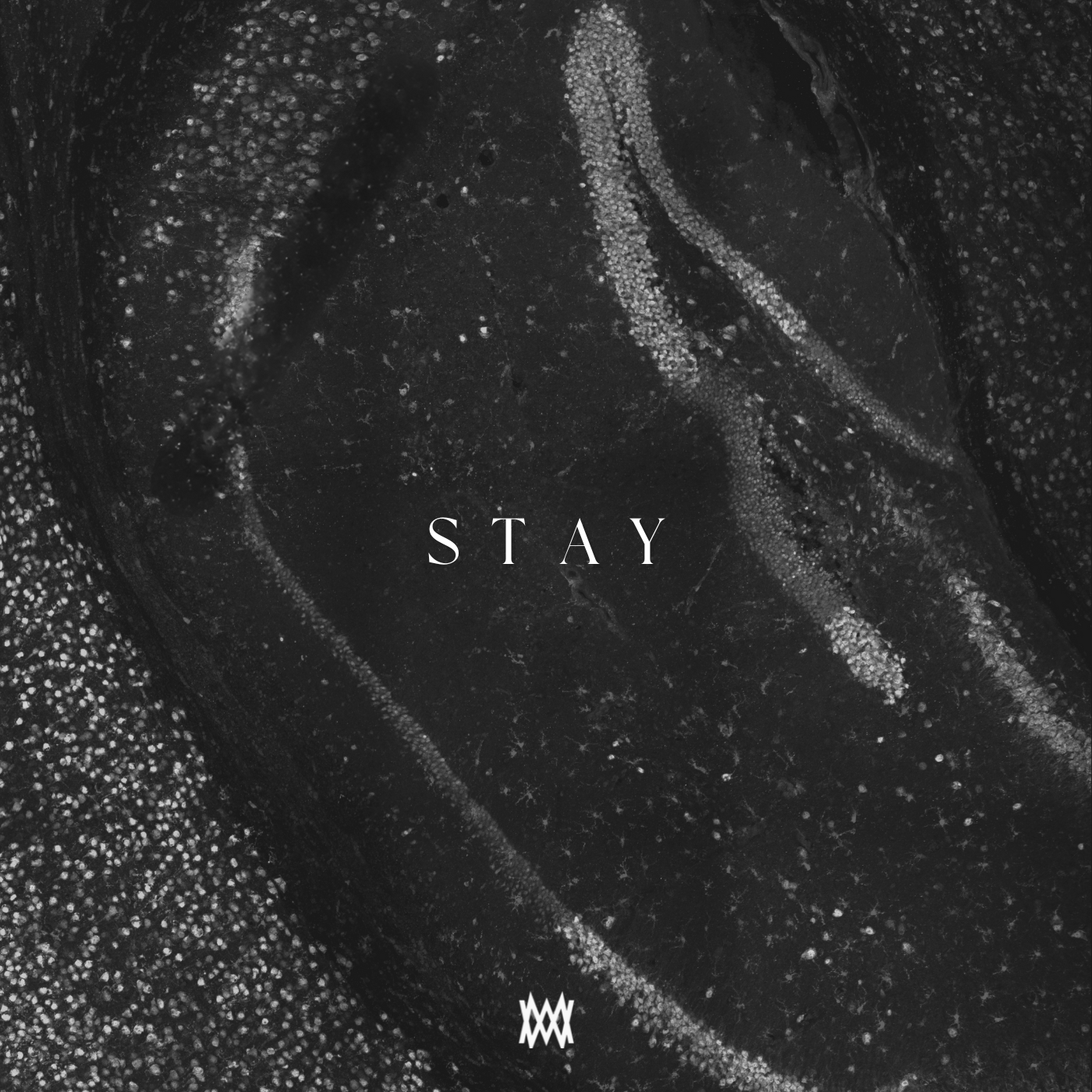 Stay by Newmode