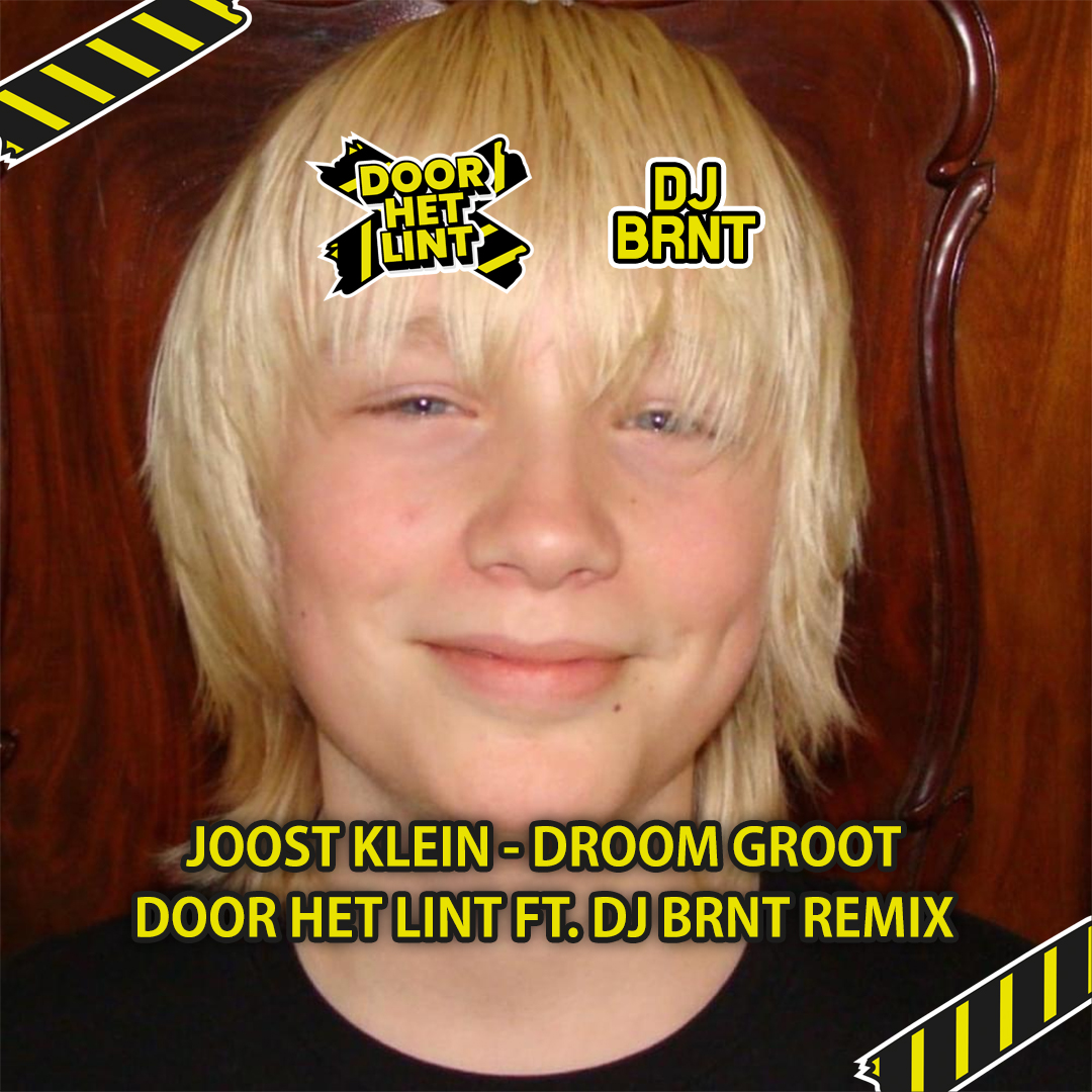 Droom Groot (Door Het Lint & DJ BRNT Remix) by Joost | Free Download on ...