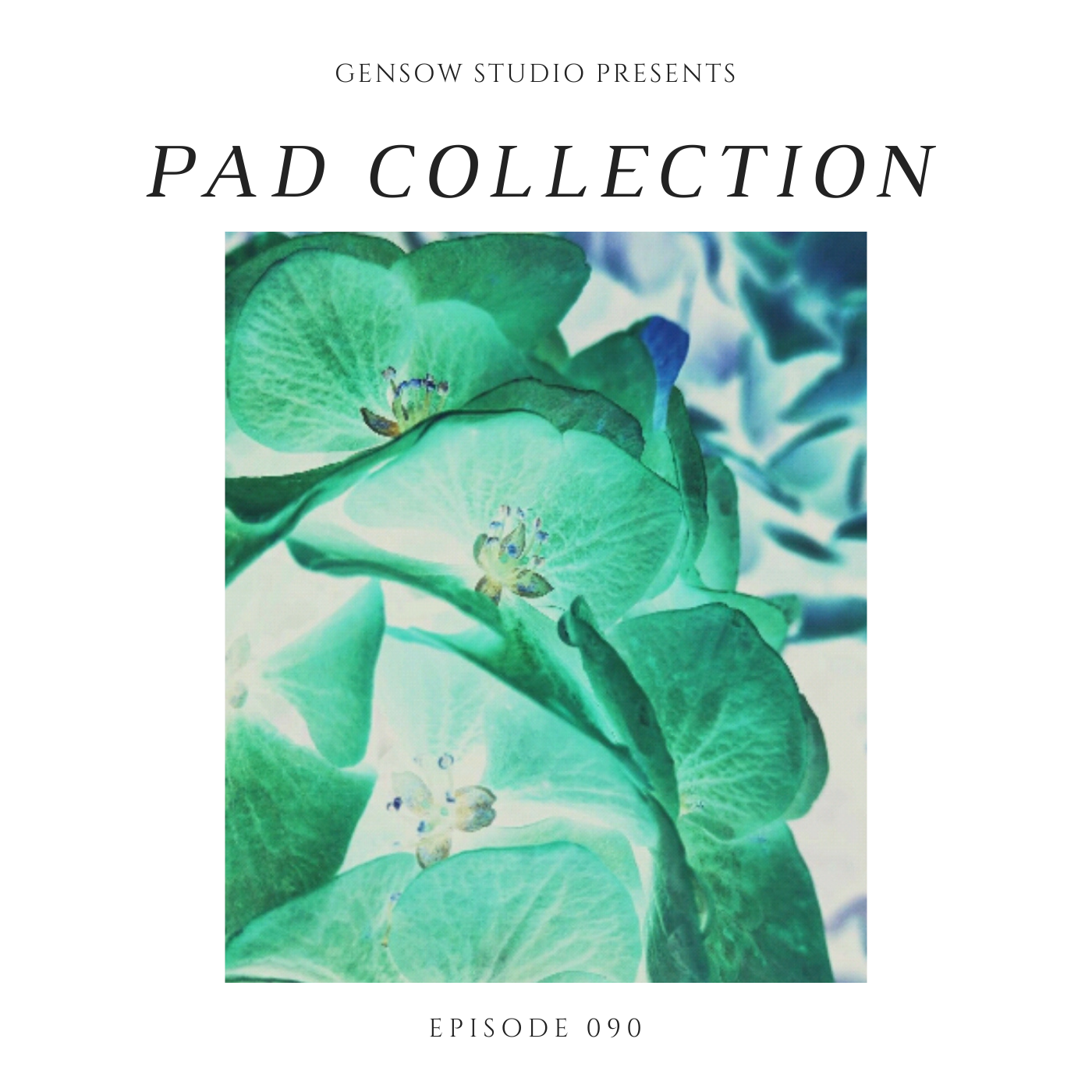 [FREE DOWNLOAD] Epic Pads Sample & MIDI Pack - Ambient, Cinematic ...