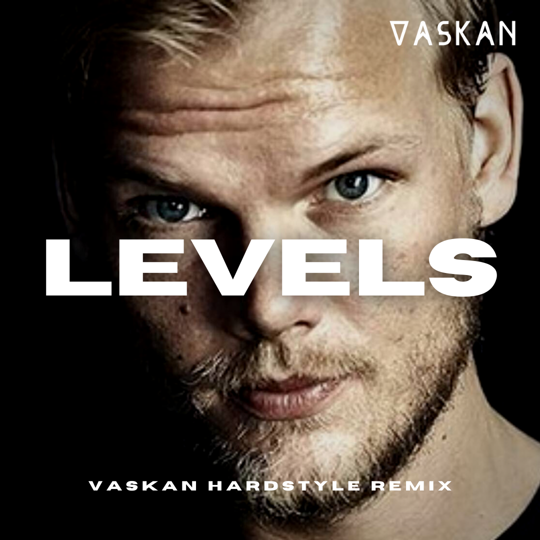 Levels (Vaskan Hardstyle Remix) by Avicii | Free Download on Hypeddit