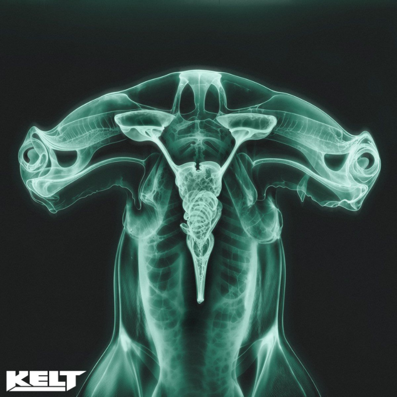 KELT - ALL RIGHT by KELT | Free Download on Hypeddit