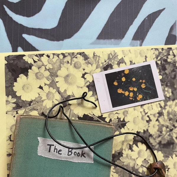 The Book by Jill Lorean