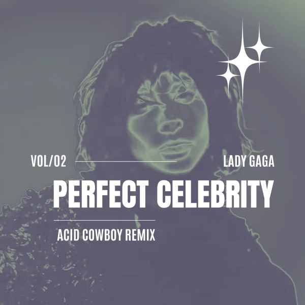 Lady Gaga - Perfect Celebrity (Acid Cowboy Remix) by Acid Cowboy | Free ...