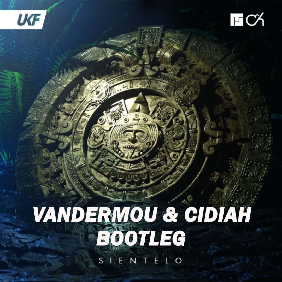 Sientelo (Vandermou & CiDiaH Bootleg) by Mefjus & Camo & Krooked | Free ...