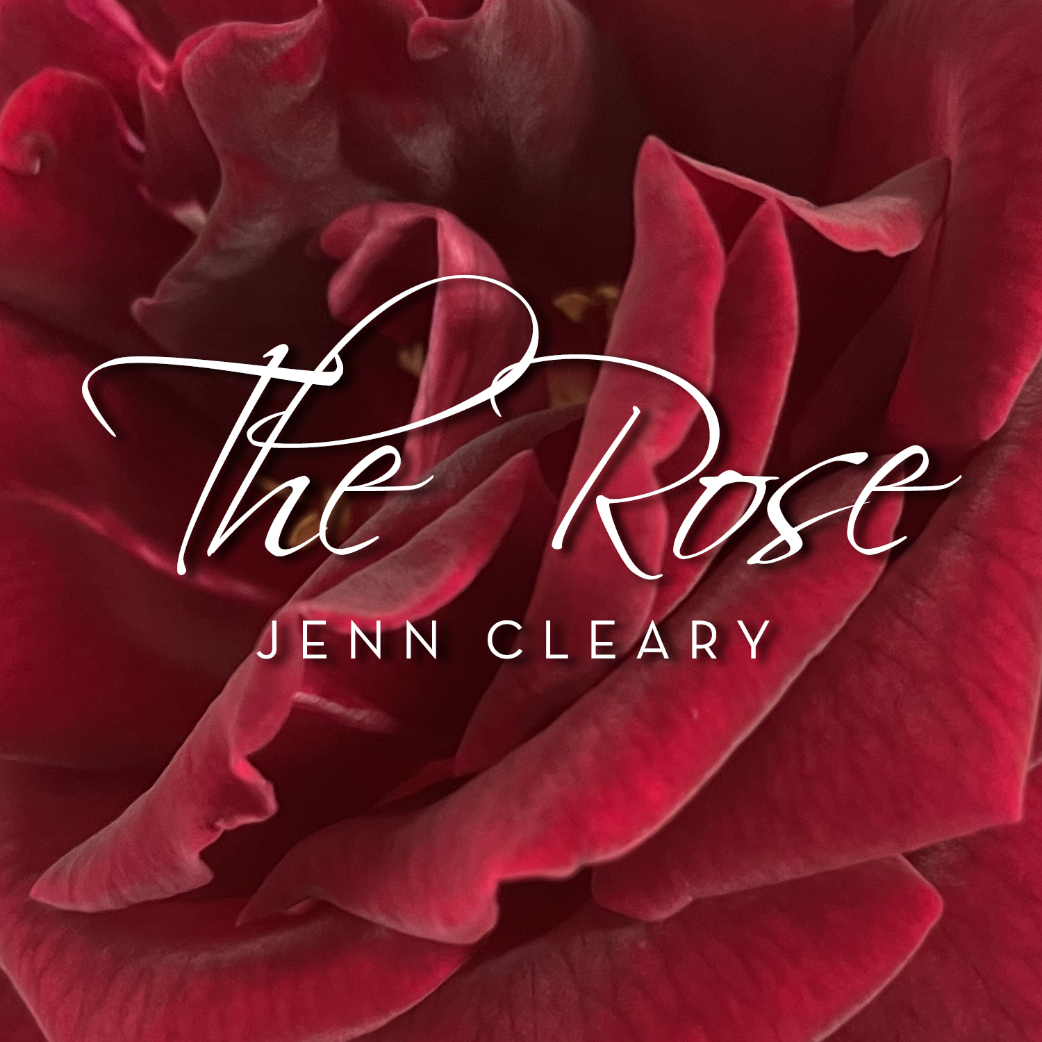 The Rose by Jenn Cleary