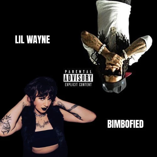 STEADY MOBBIN by BIMBOFIED | Free Download on Hypeddit