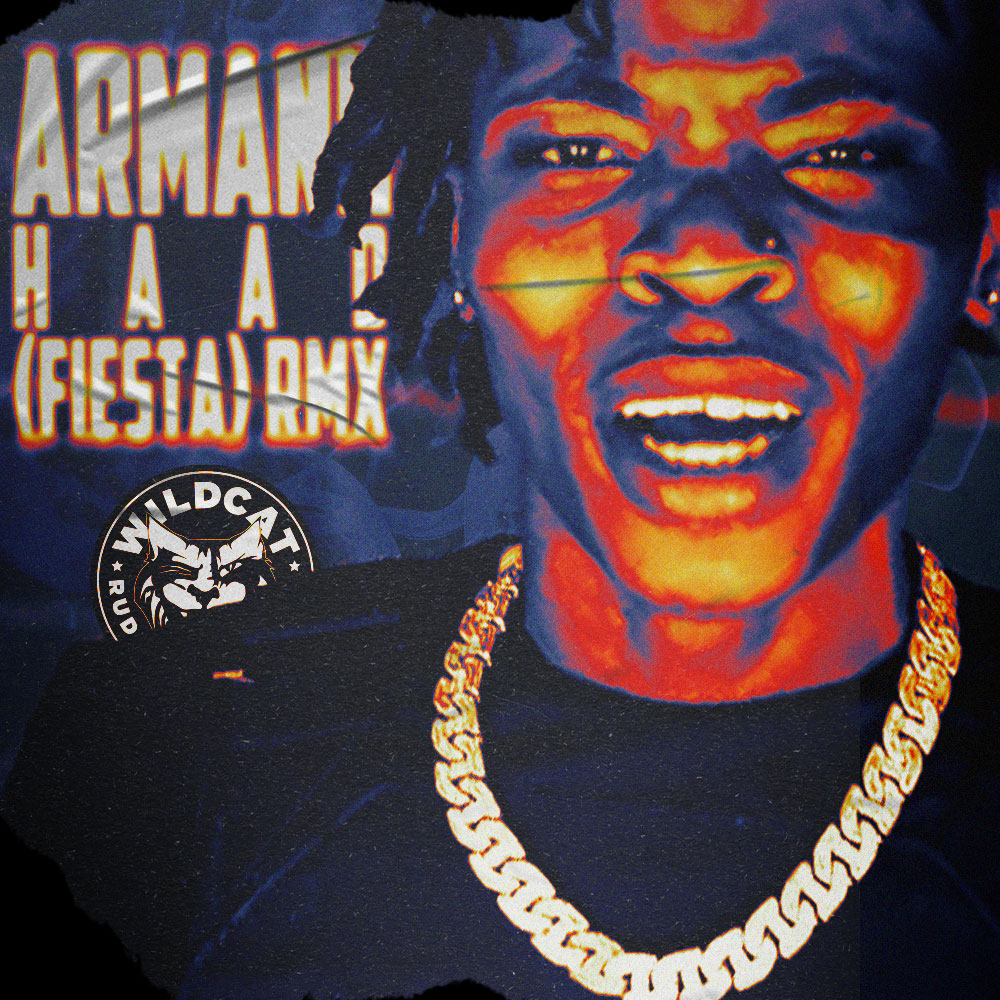 HAAD (FIESTA) REMIX by ARMANII | Free Download on Hypeddit