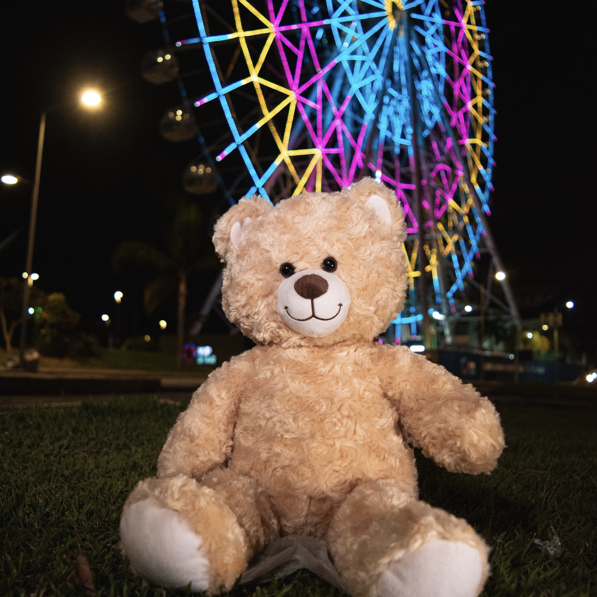 Sweetie Bear by Ju Muniz