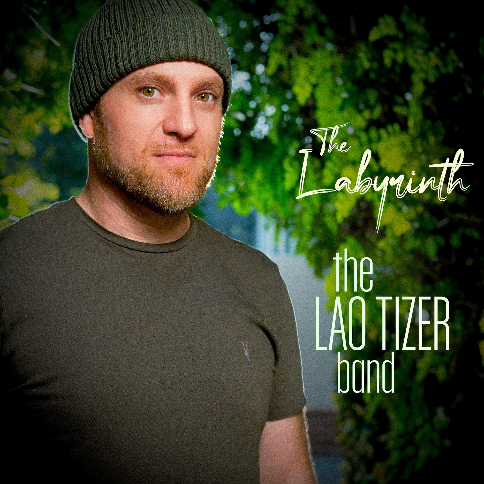 The Labyrinth (feat. Danny Janklow, Karen Briggs & Munyungo Jackson) by ...