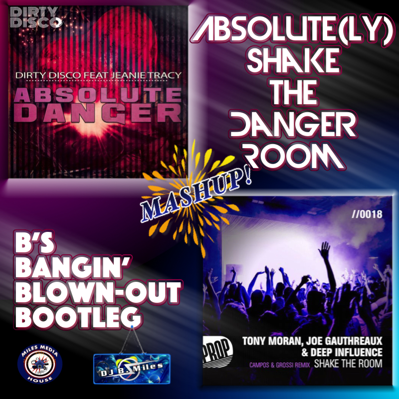 Absolute(ly) Shake the Danger Room (B's Bangin Blown-Out Bootleg Mashup ...