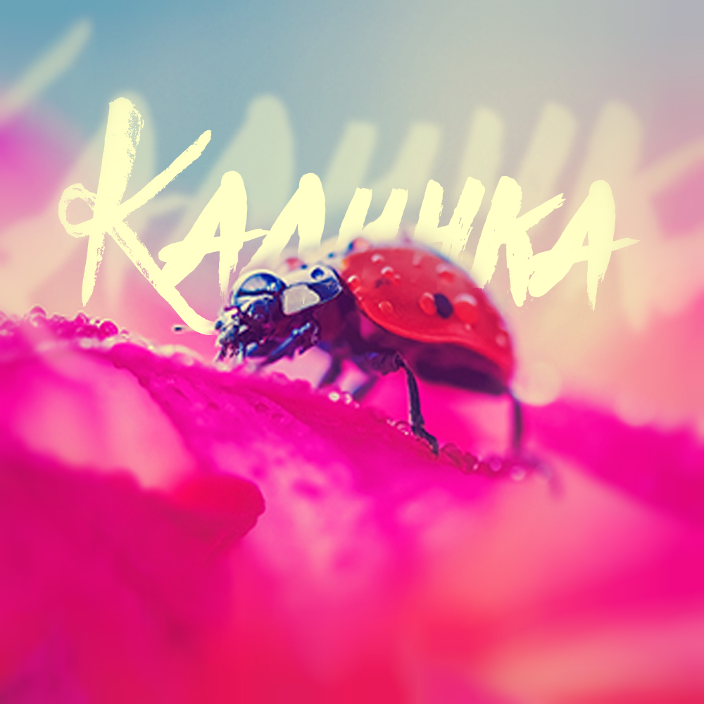 KALINKA by DJ 89 | Free Download on Hypeddit