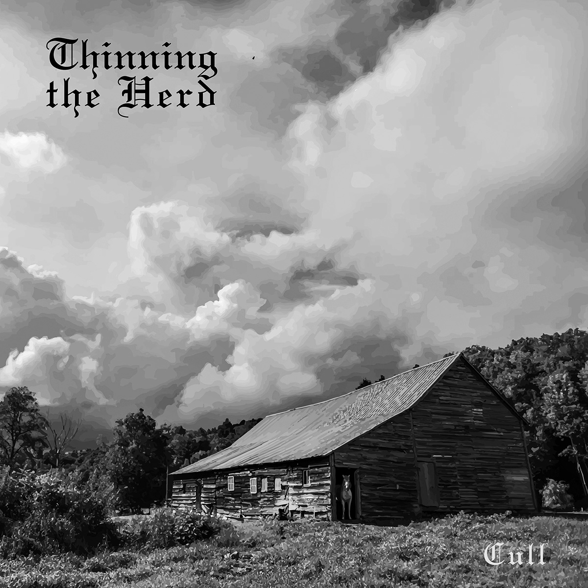 Path of Gold by Thinning The Herd