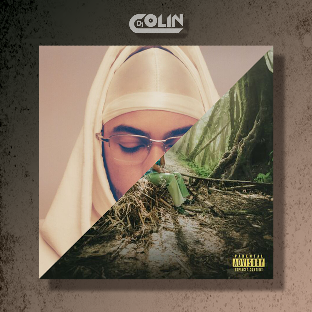 DJ COLIN by Myke Towers, Peso Pluma - SE TE NOTA [DJ Colin Acapella ...