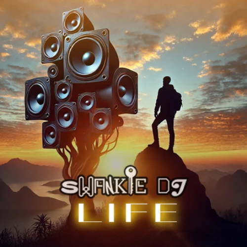Life by Swankie DJ | Free Download on Hypeddit