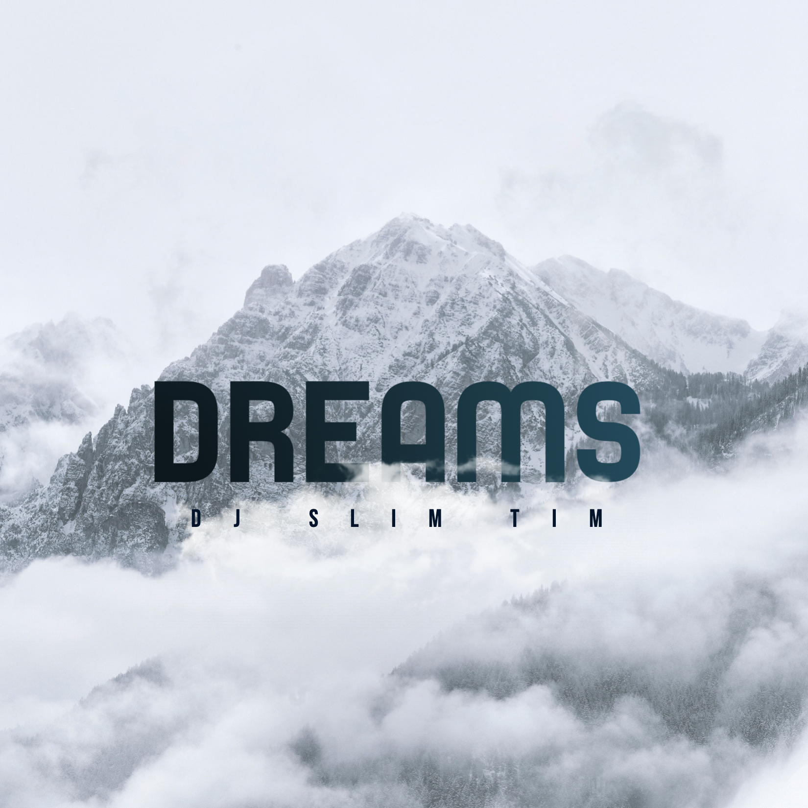 DREAMS by DJ Slim Tim | Free Download on Hypeddit